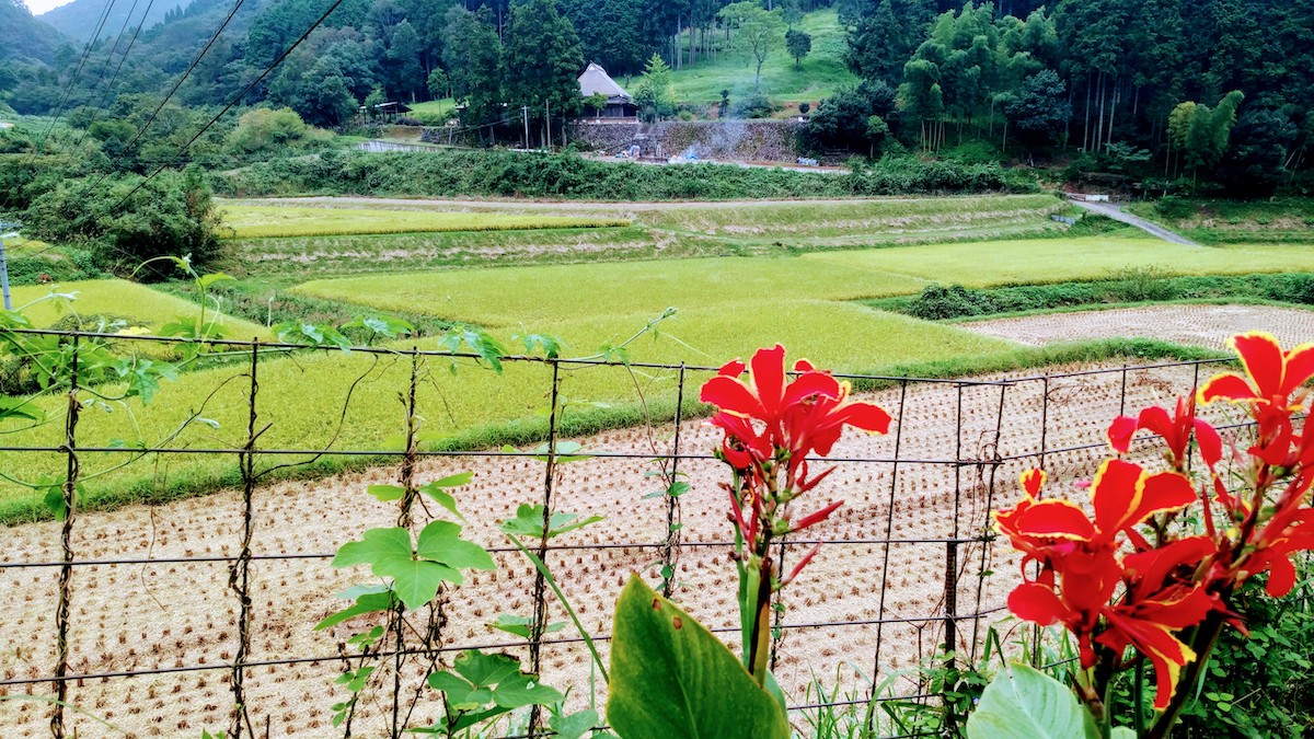 What is it like to retire to the Japanese countryside? - Japan Insider