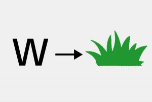 The Letter W, Grass, and a Forest: The Many Slangs of LOL in Japanese
