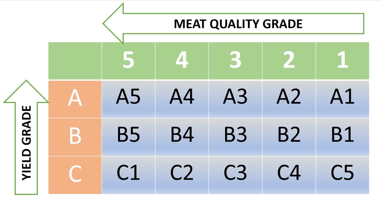 New AI Technology Allows Farmers To Easily Identify Individual Wagyu new-ai-technology-allows-farmers-to-easily-identify-individual-wagyu