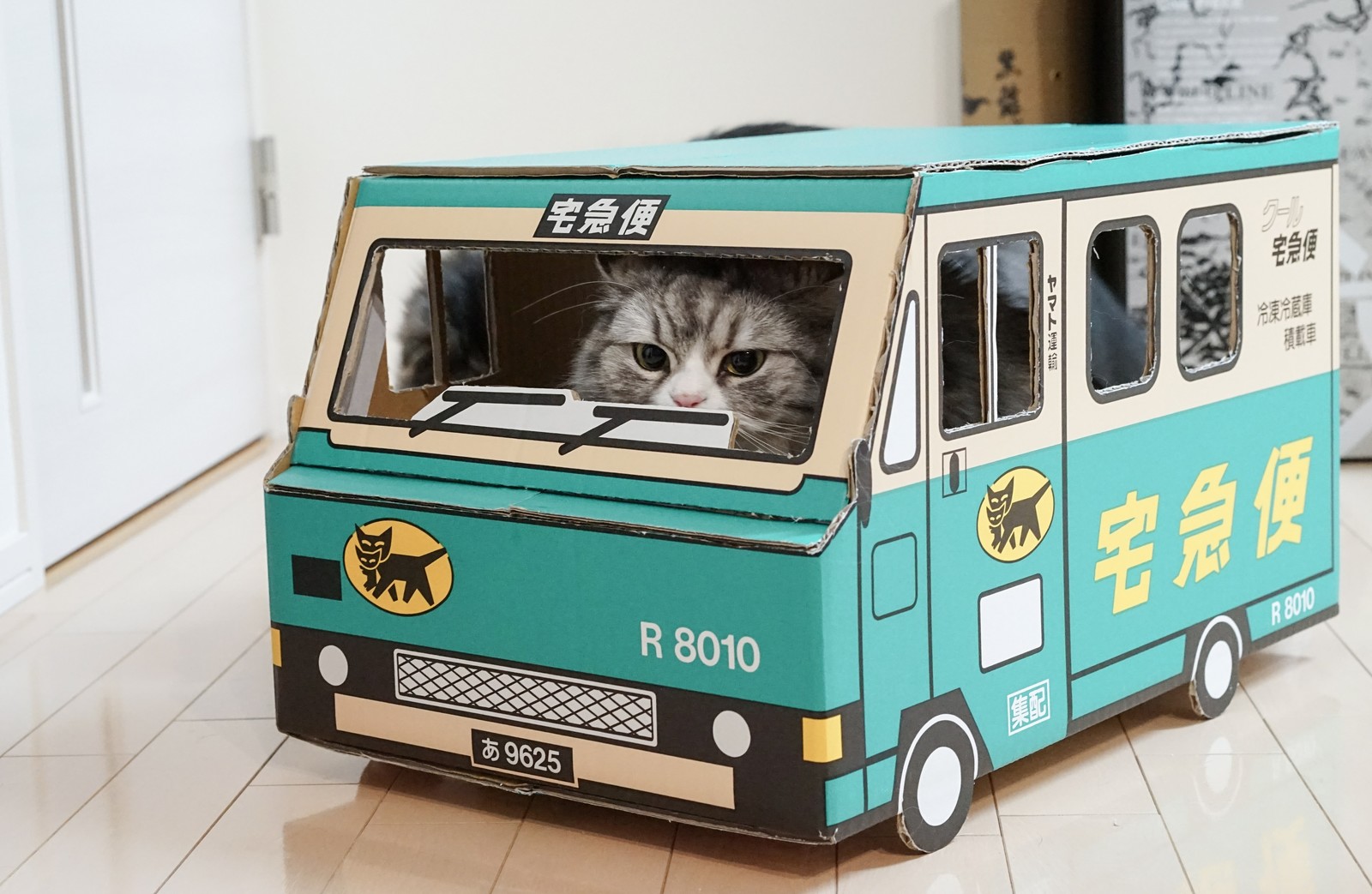 A Cat Made Japanese People Thankful for Delivery Workers - Japan Insider