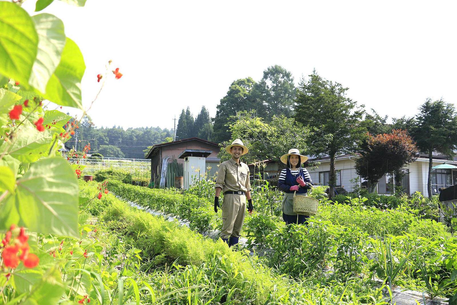 Living in Tokyo vs. the Countryside - Japan Insider