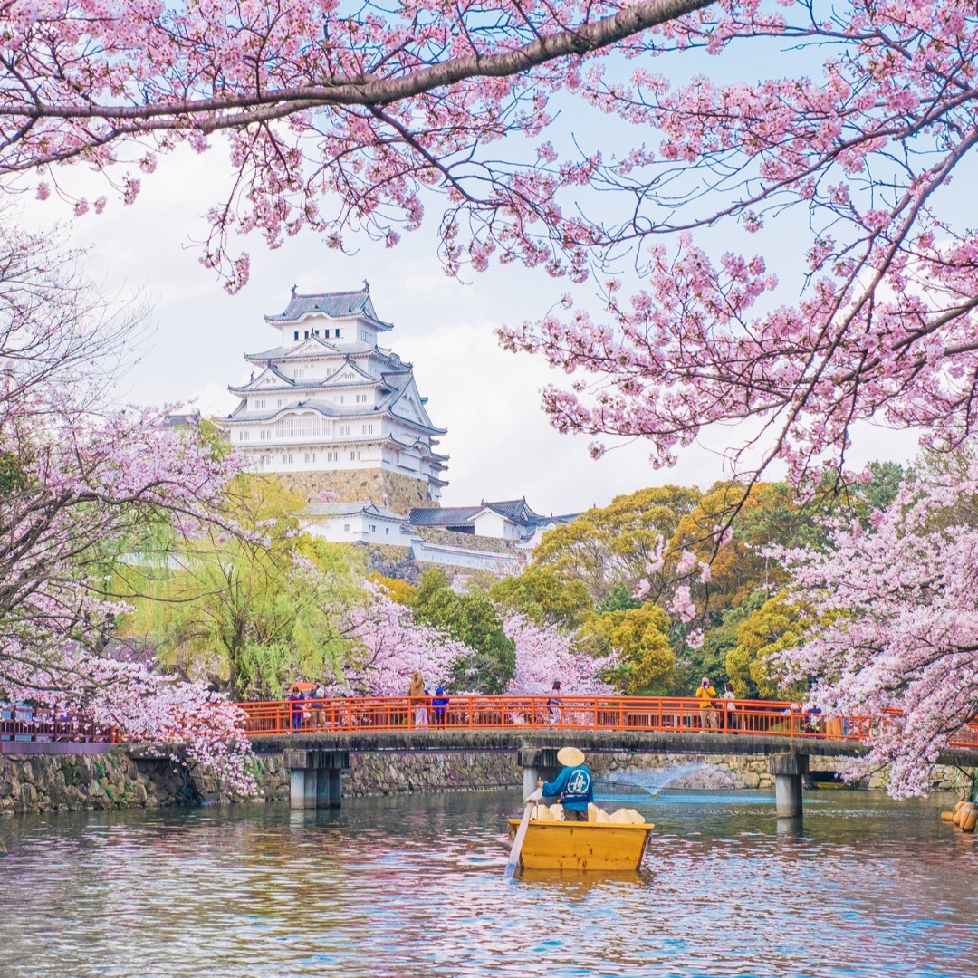 Discover Japan's Top 10 Must-Visit Places